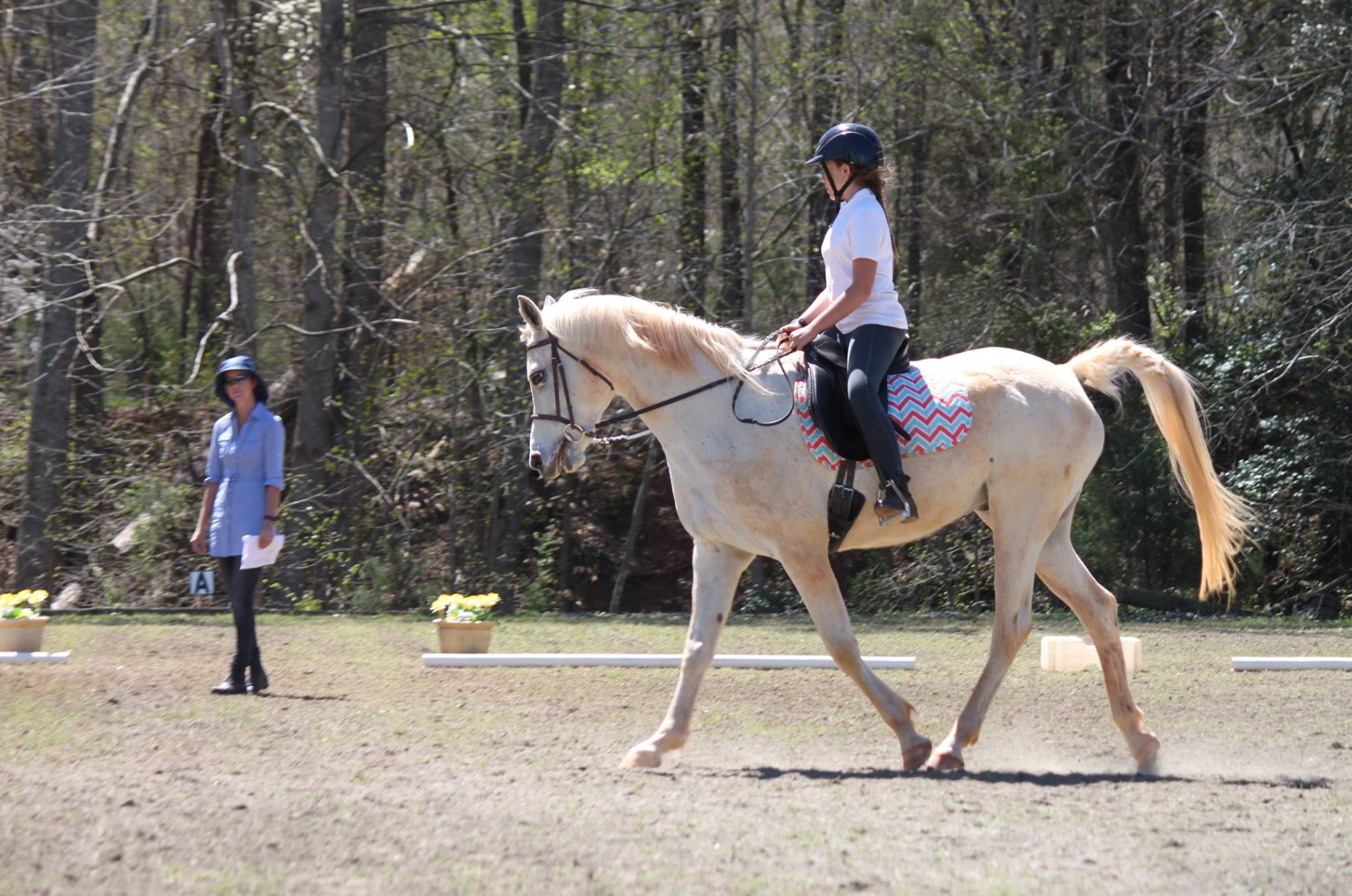 Ride A Test Dressage Clinic - White Rose Equestrian